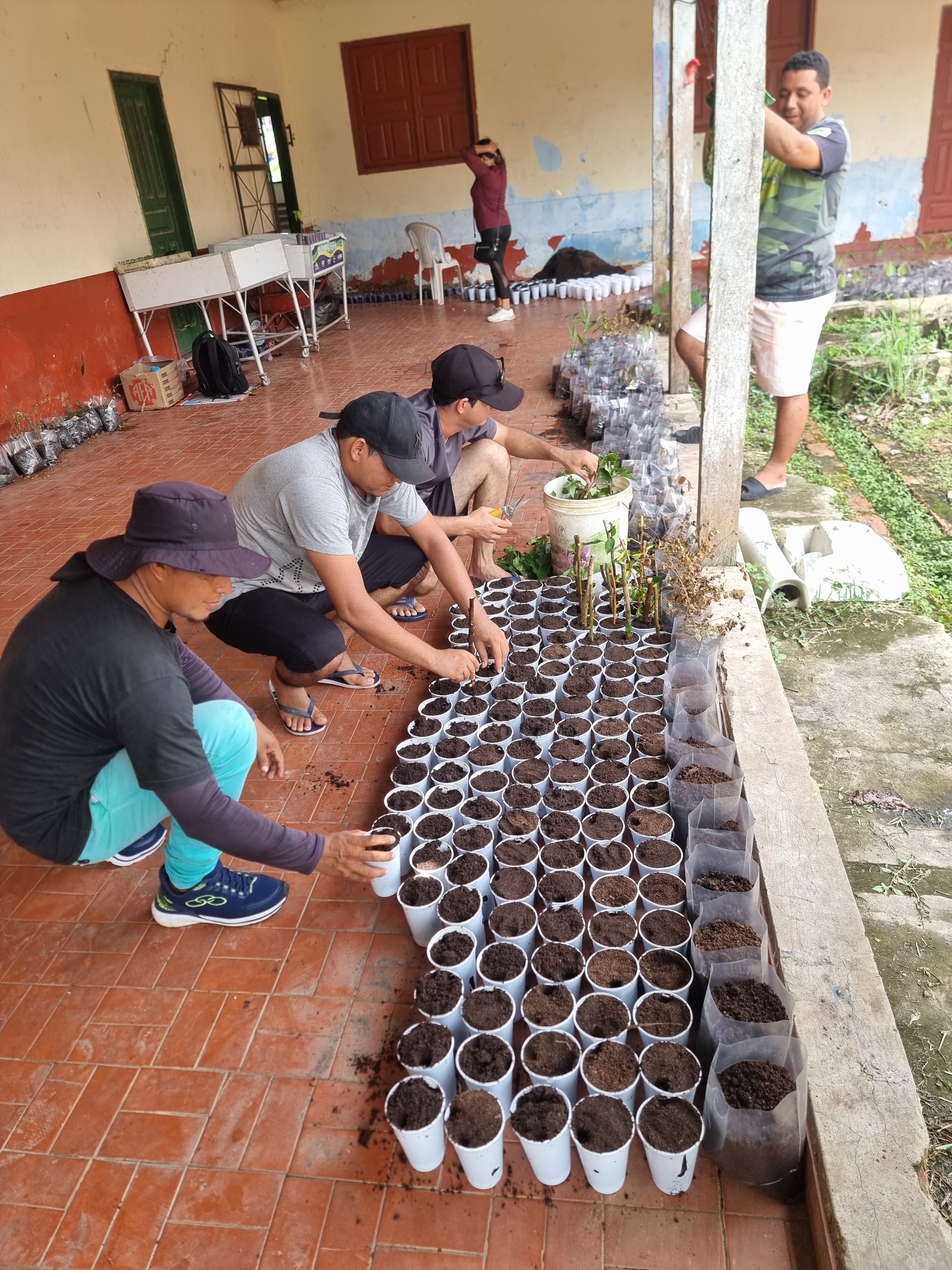 Confederação Nacional de Municípios